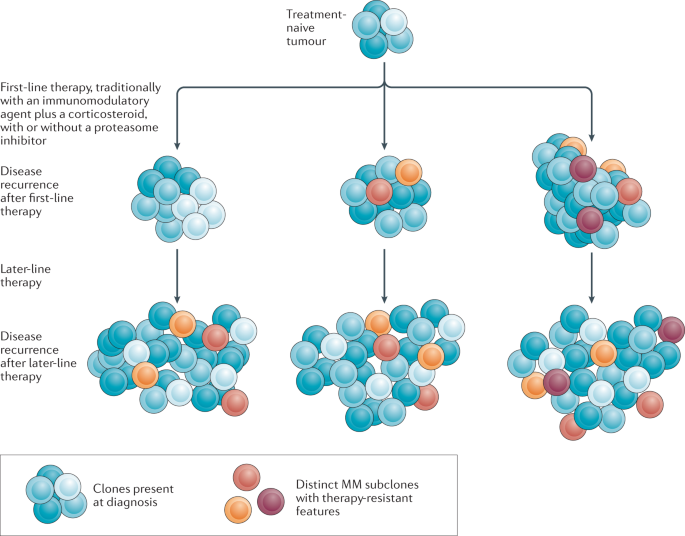 Terapia celulară CAR-T generează remisii de durată la pacienții cu ...
